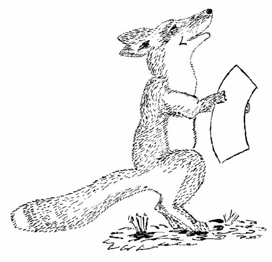 Le Renard Enchanté – Commune Serches